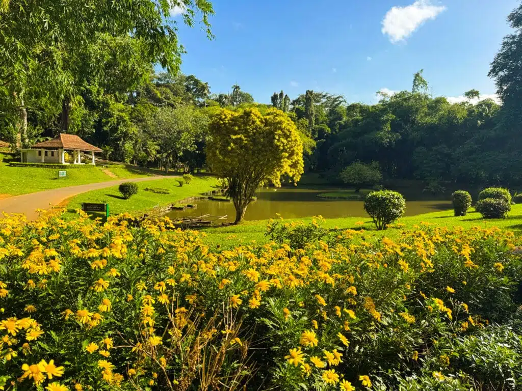 Adigar’s Manor Review, Kandy • Srilanka Maldives